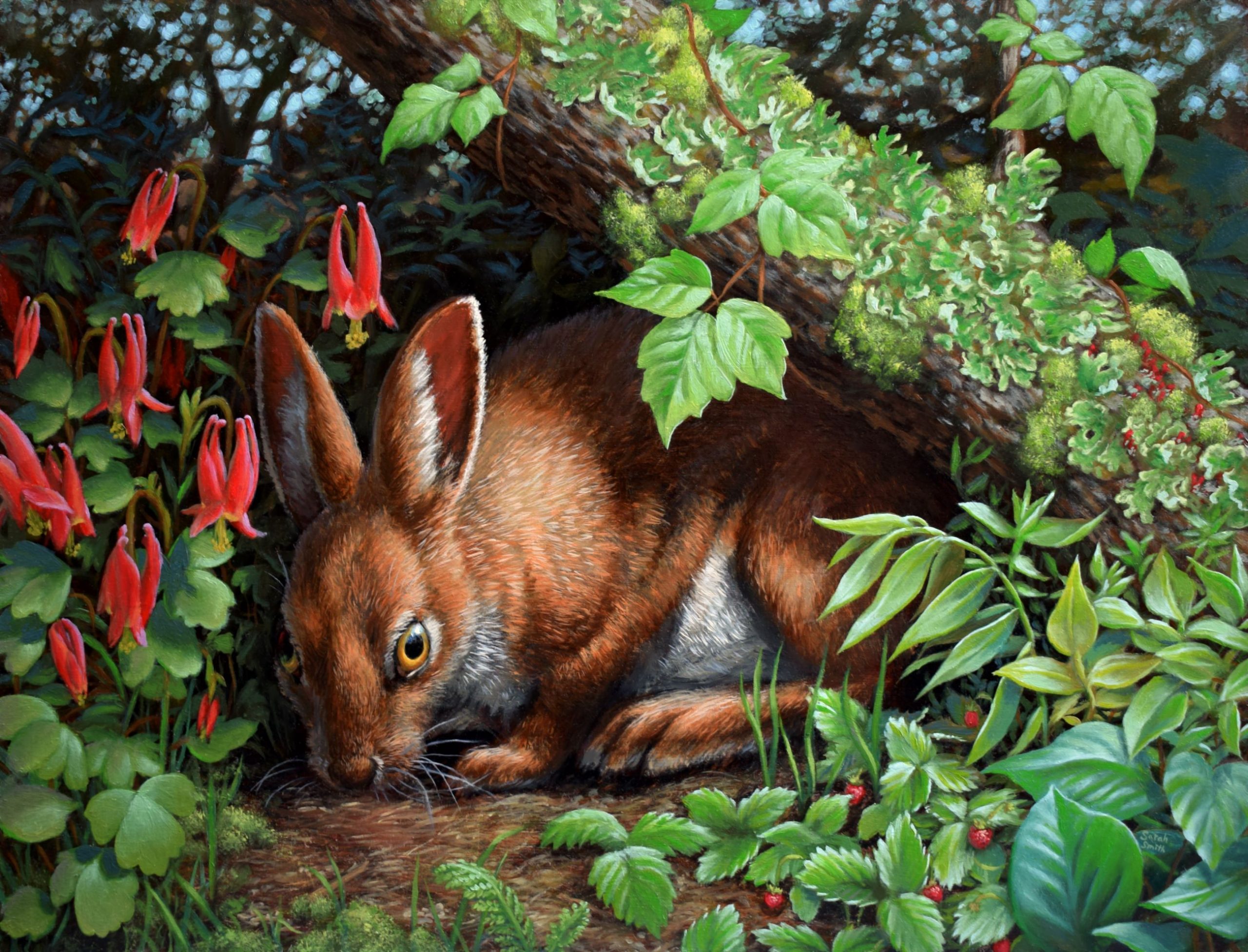 29 County artists receive micro grants from Aroostook Creative Network – Wintergreen Arts Center